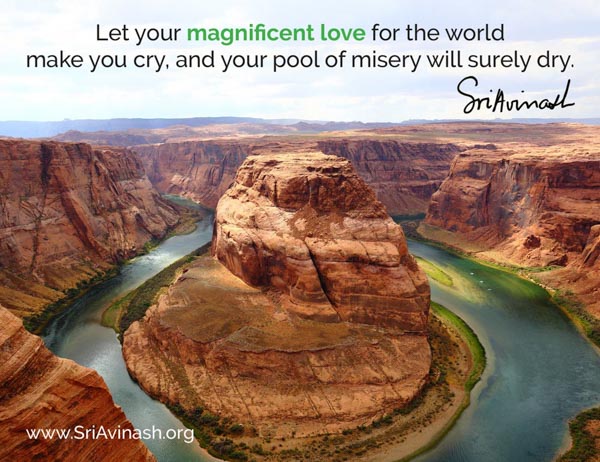 Your Magnificent Love - Sri Avinash Do Mission