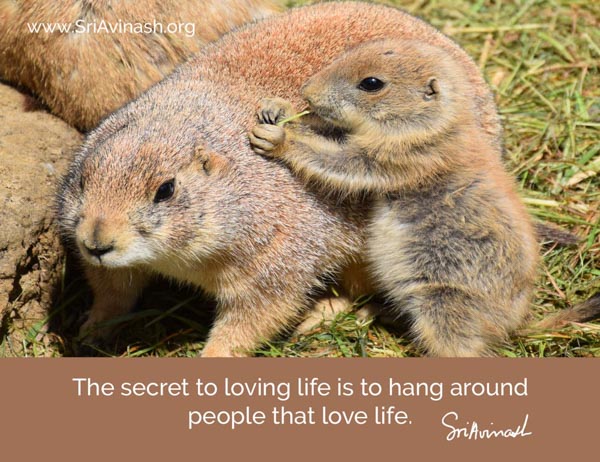 The Secret To Loving Life - Sri Avinash Do Mission