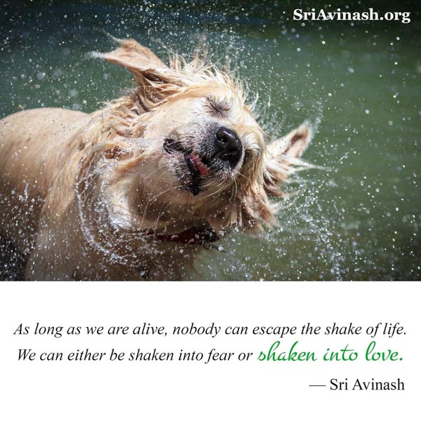 Shaken Into Love - Sri Avinash Do Mission
