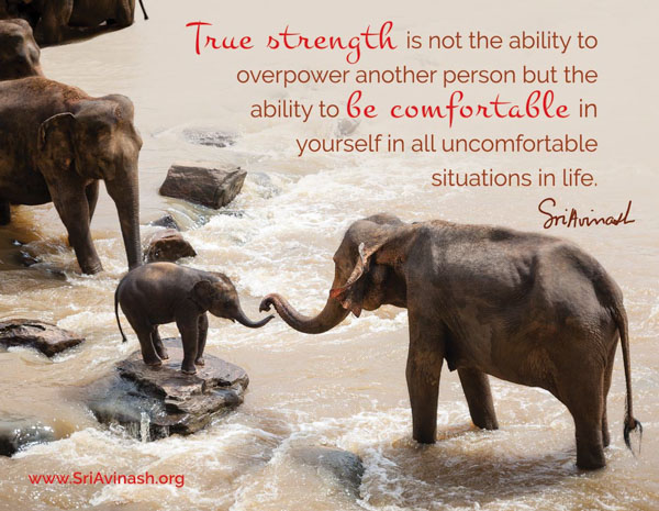 True Strength Sri Avinash Do Mission