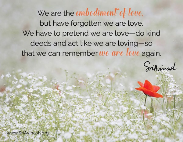 Embodiment Of Love - Sri Avinash Do Mission