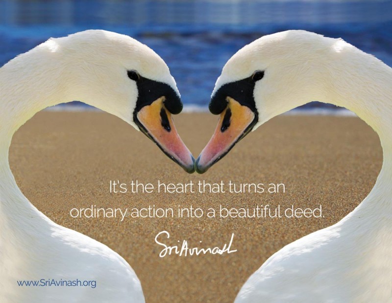 A Beautiful Deed - Sri Avinash Do Mission